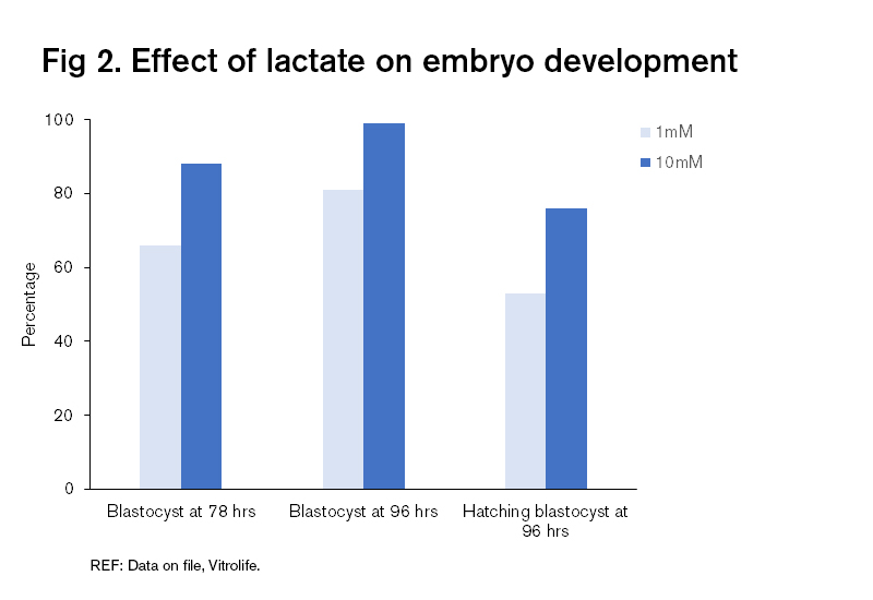 Lactate and Embryos – a new perspective